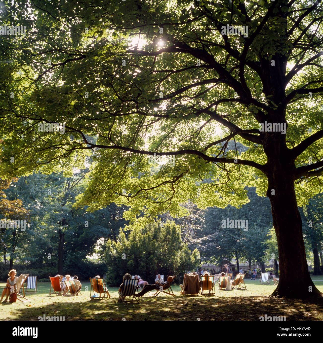 Hyde Park in London in England in Great Britain in the United Kingdom ...