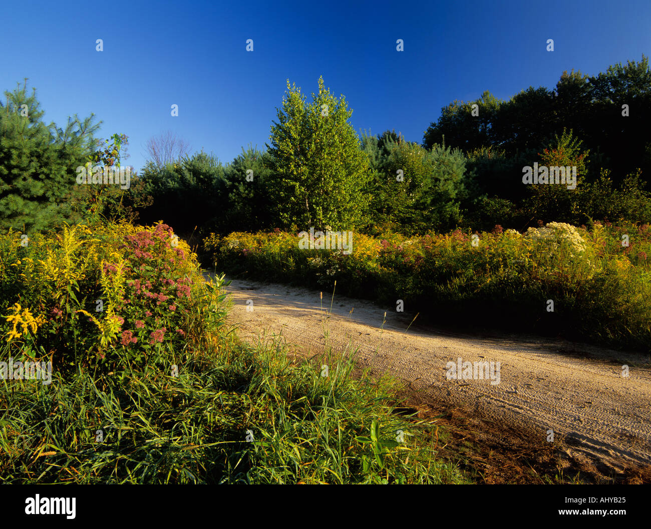 Old Dirt Path Stock Photo - Alamy