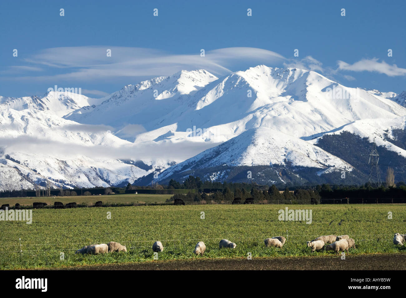 Winterslow hi-res stock photography and images - Alamy