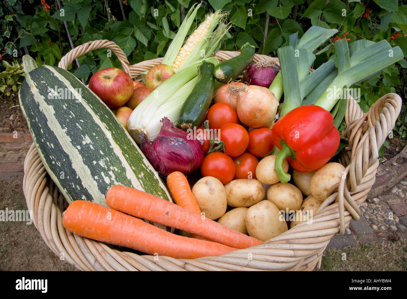Home Grown Vegetables Augusts Herts UK Stock Photo - Alamy