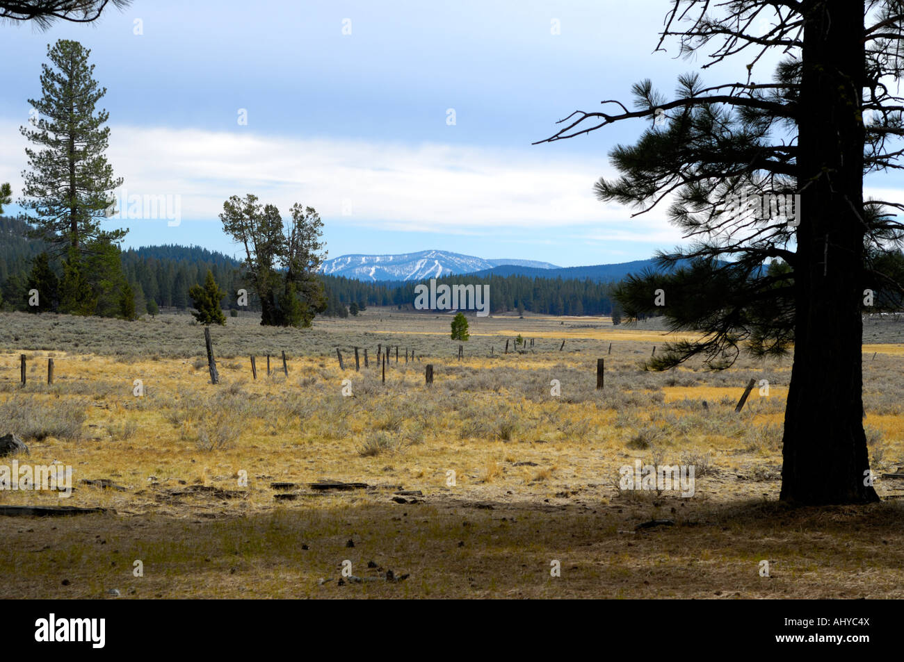high pasture land Stock Photo - Alamy