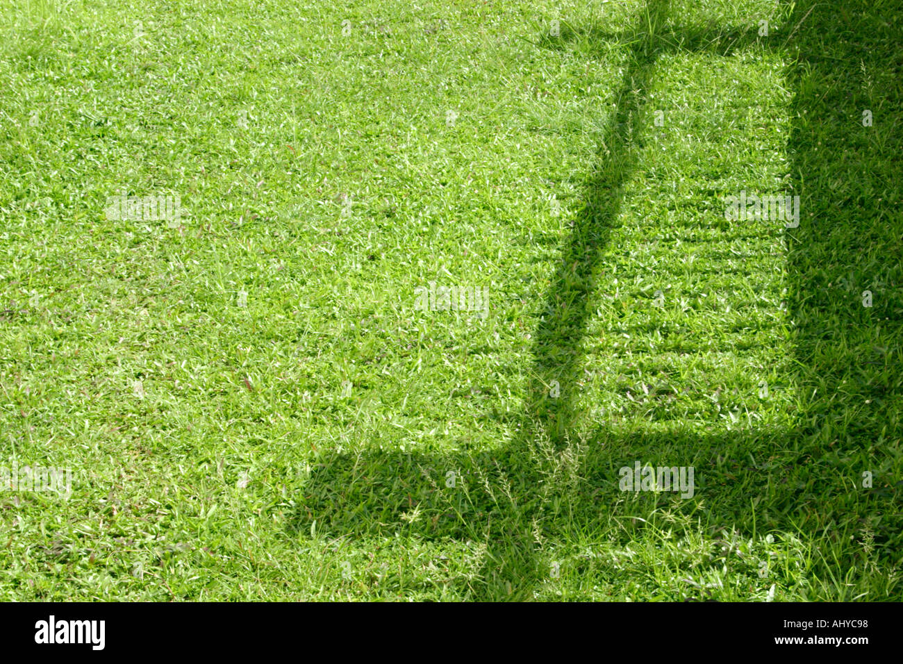 fence shadow on grass Greener pastures Grass is greener on the other ...