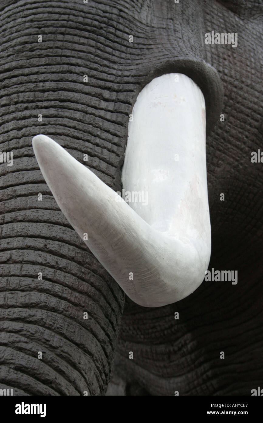 a fake elephant tusk from a statue Stock Photo - Alamy
