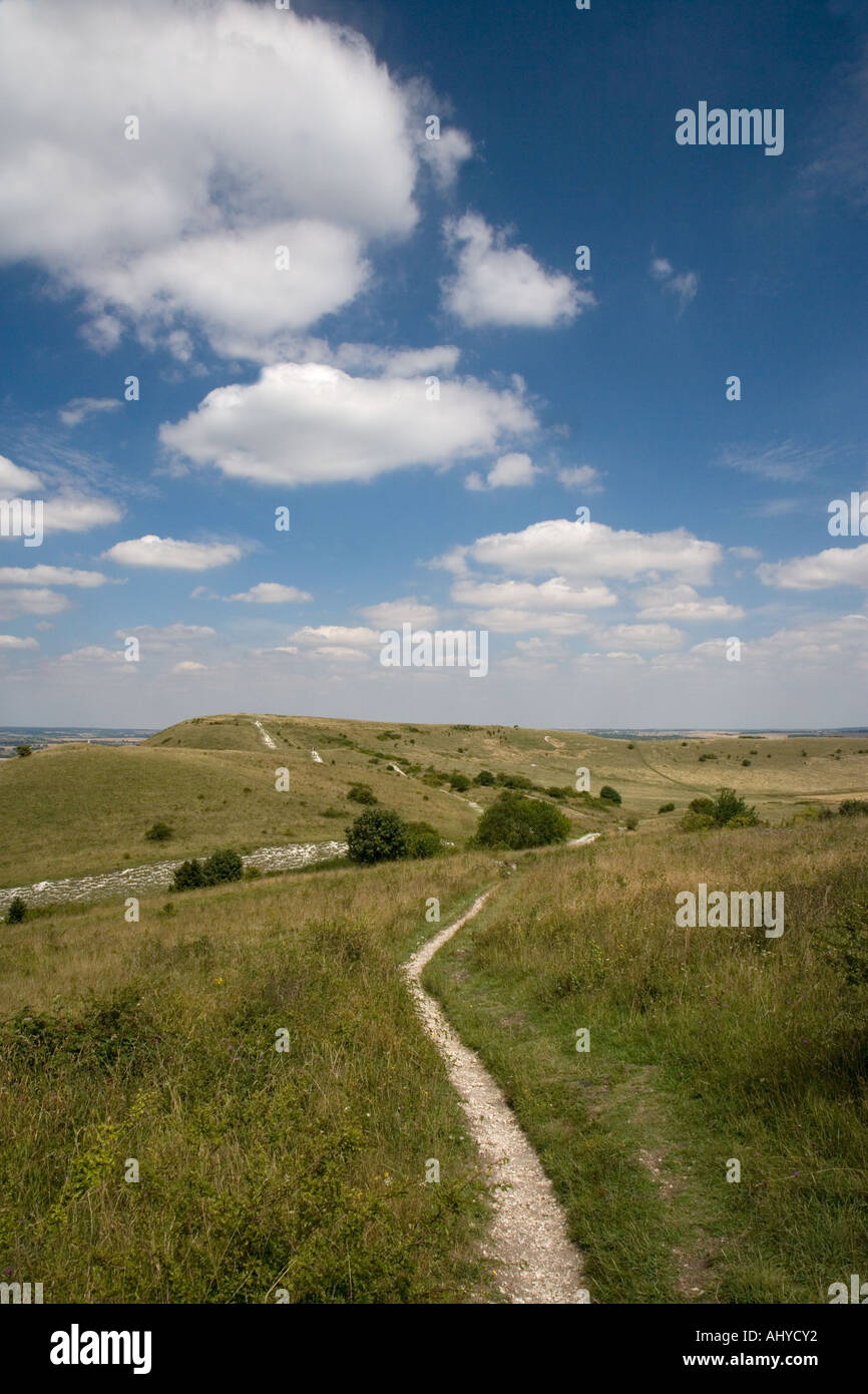 The Ridgeway Path Ivinghoe Buckinghamshire UK Stock Photo - Alamy