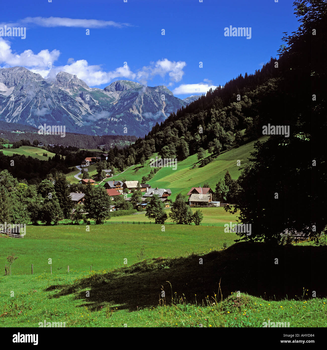 Austrian fields hi-res stock photography and images - Alamy