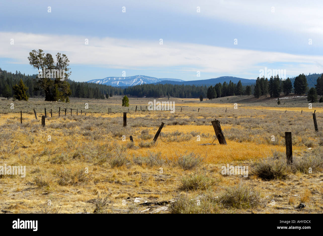 High Pasture land Stock Photo - Alamy