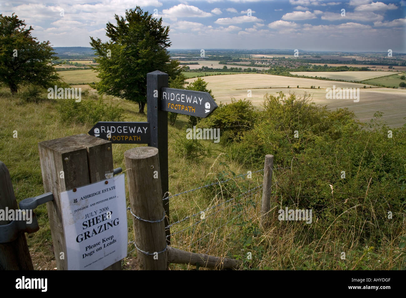 The Ridgeway Path Ivinghoe Buckinghamshire UK Stock Photo - Alamy