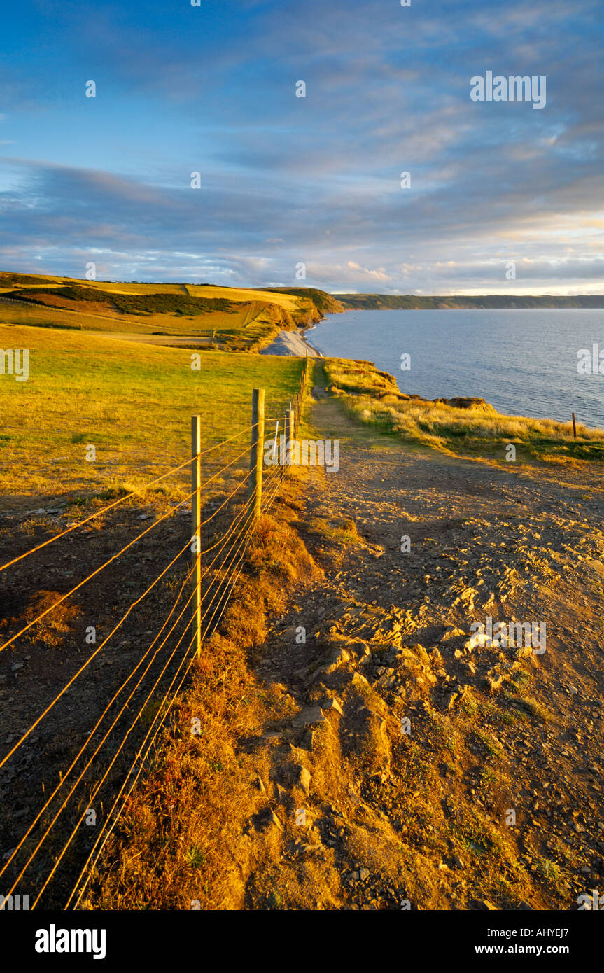 Evening summer view over the South West Coast Path at Cornborough Cliff ...