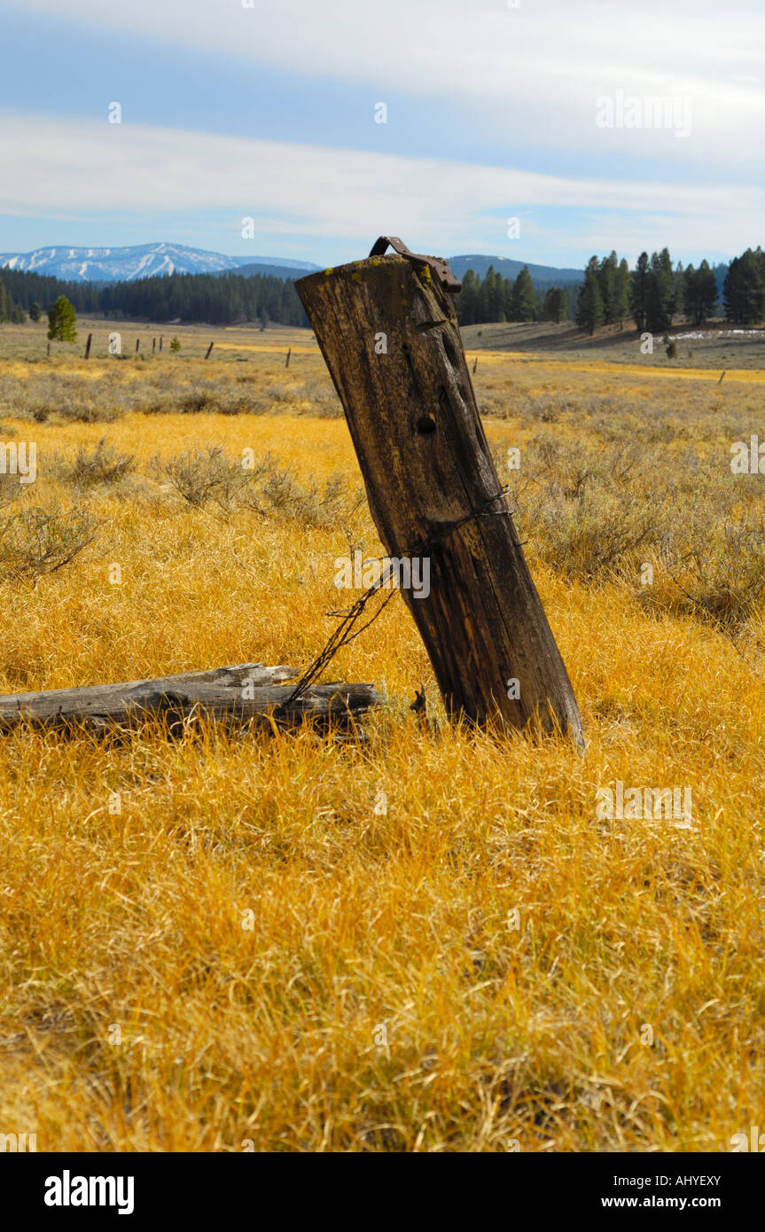 High Pasture land Stock Photo - Alamy