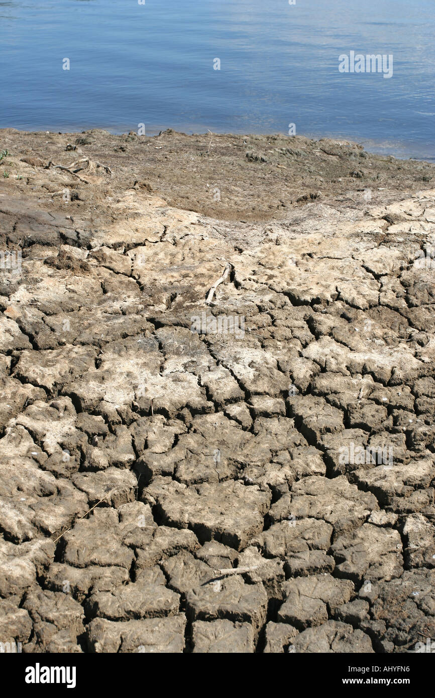 Dry and cracked mud in drought conditions in South East of England ...