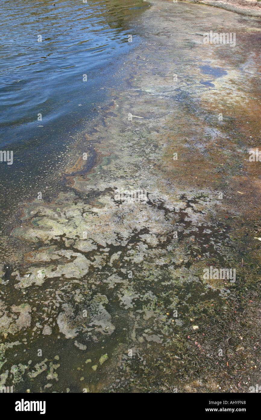 Reservoir stagnant water hi-res stock photography and images - Alamy