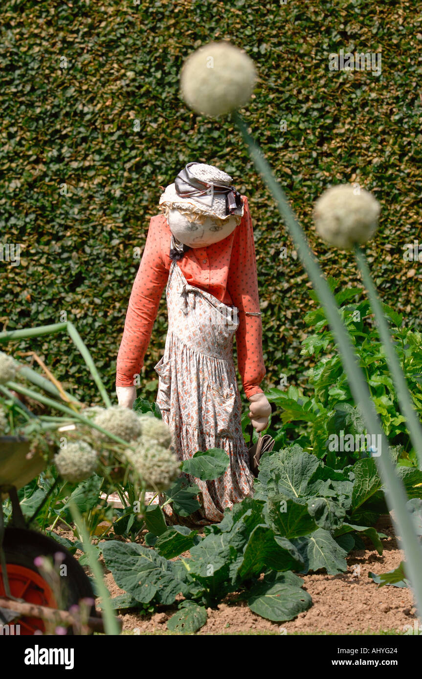 Lady scarecrow hi-res stock photography and images - Alamy