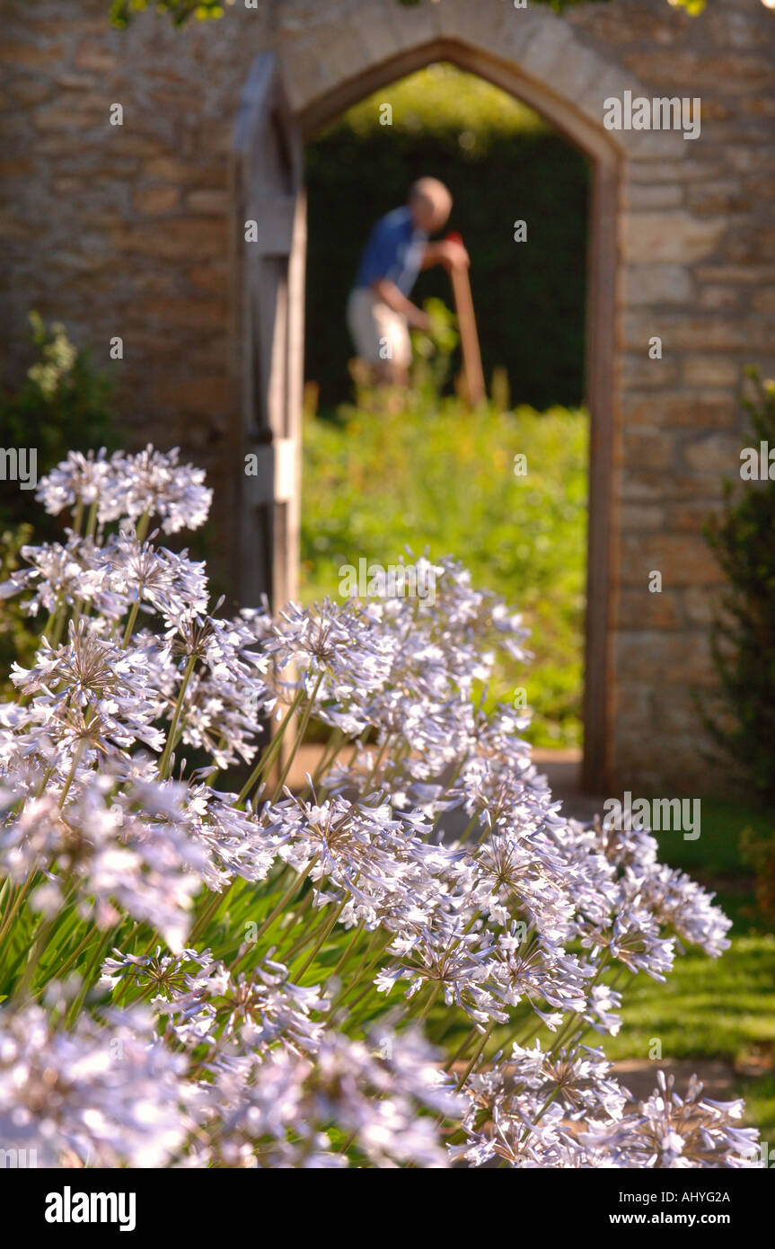 Arched border hi-res stock photography and images - Alamy