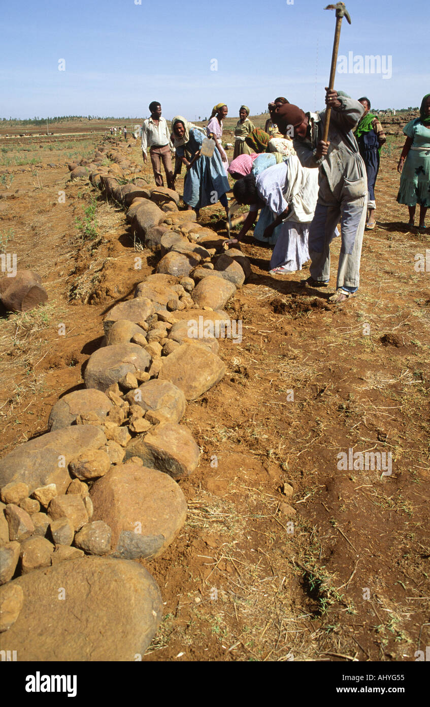 Preventing Soil Erosion Terracing