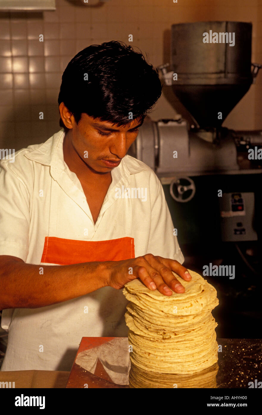 1 one Mexican man adult man making tortillas employee working at ...