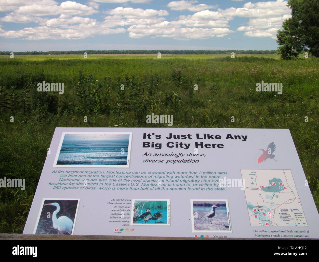 Seneca falls scenery hi-res stock photography and images - Alamy