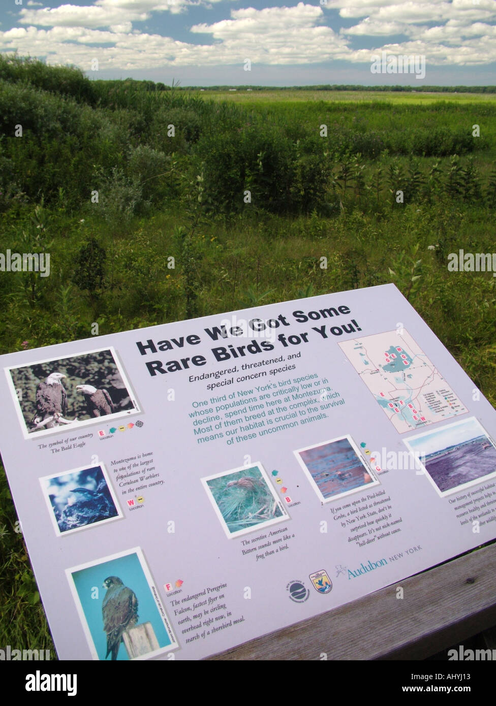 Seneca falls scenery hi-res stock photography and images - Alamy