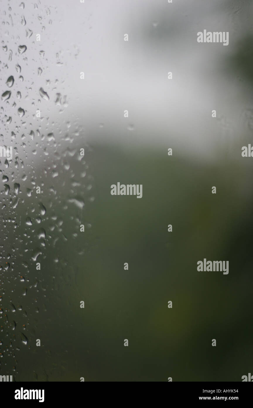 Rain drops on a window screen Stock Photo - Alamy