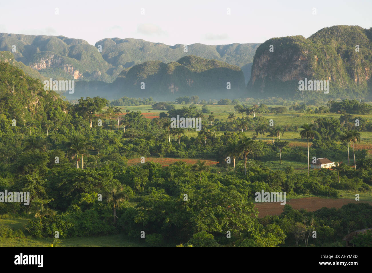 Cuba Pinar del Rio province Viniales elevated view of fertile plain ...