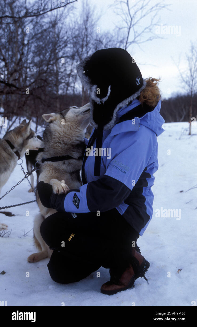 Musher with husky dog Lappland Northern Sweden Musher with husky dog ...