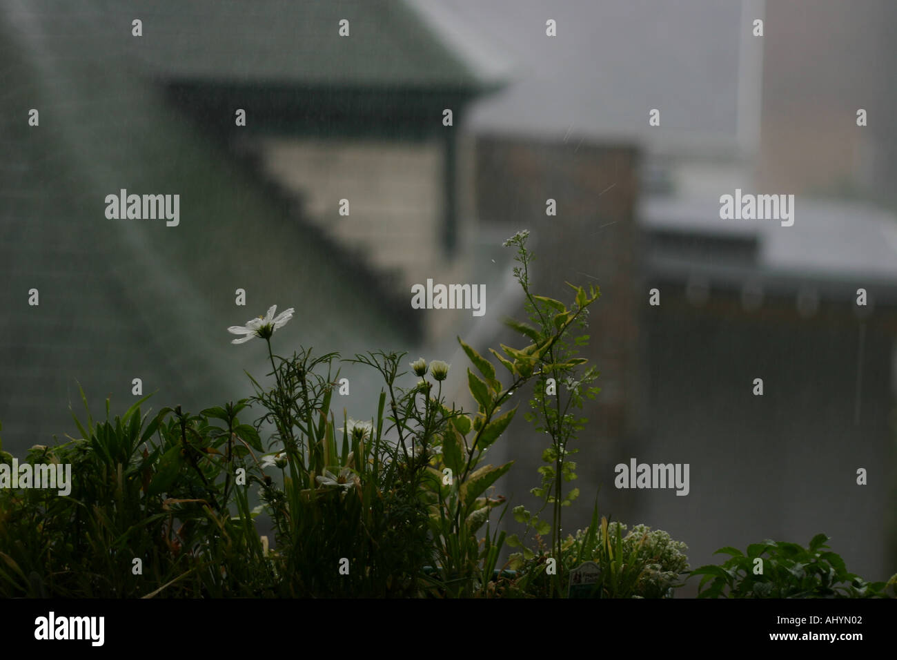 Rainy day looking out the window Stock Photo - Alamy