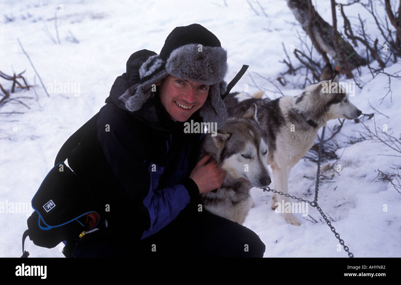 Musher with husky dog Lappland Northern Sweden Musher with husky dog ...