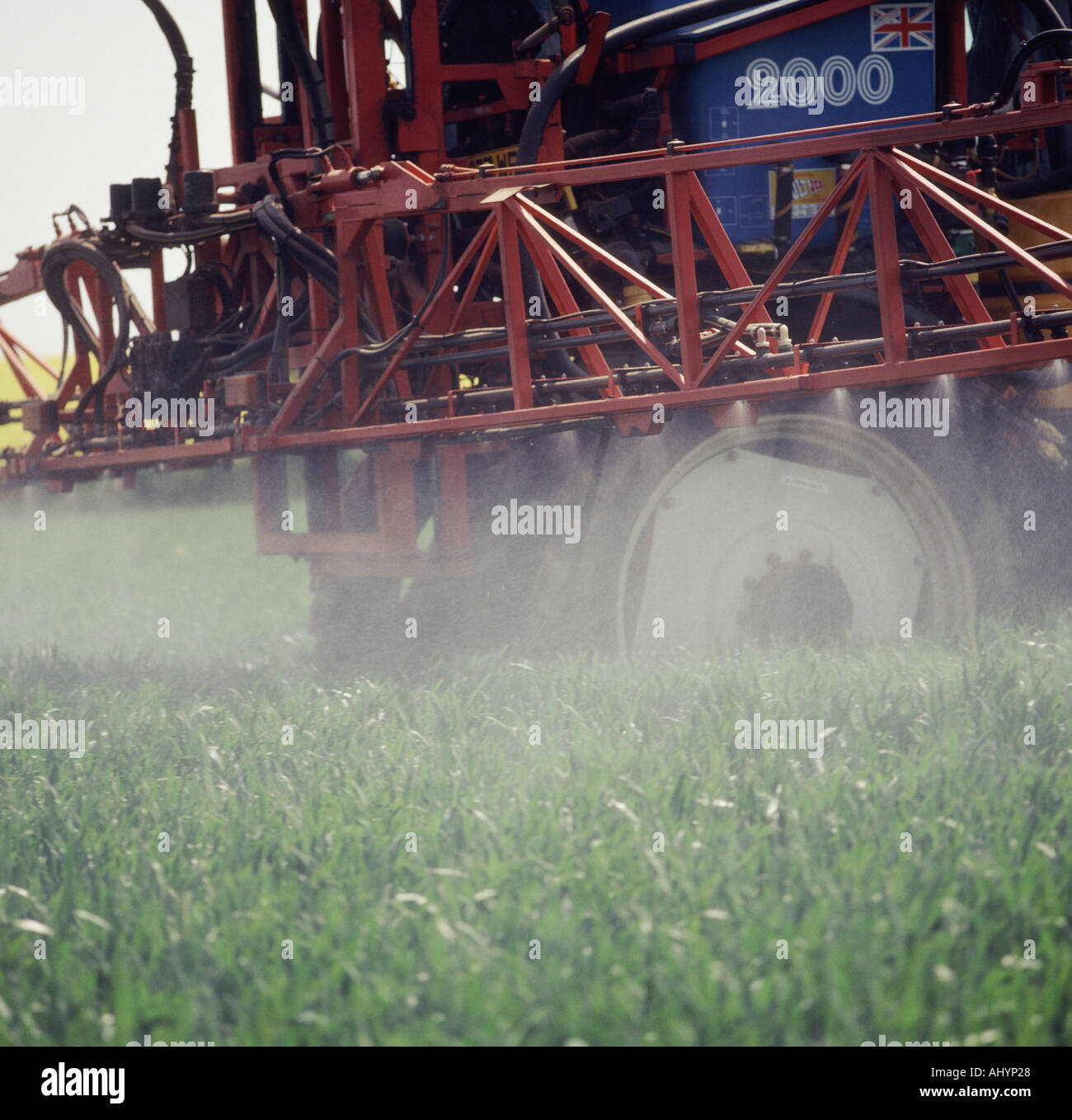 Tractor with mounted sprayer spraying wheat crop with pesticide Stock ...