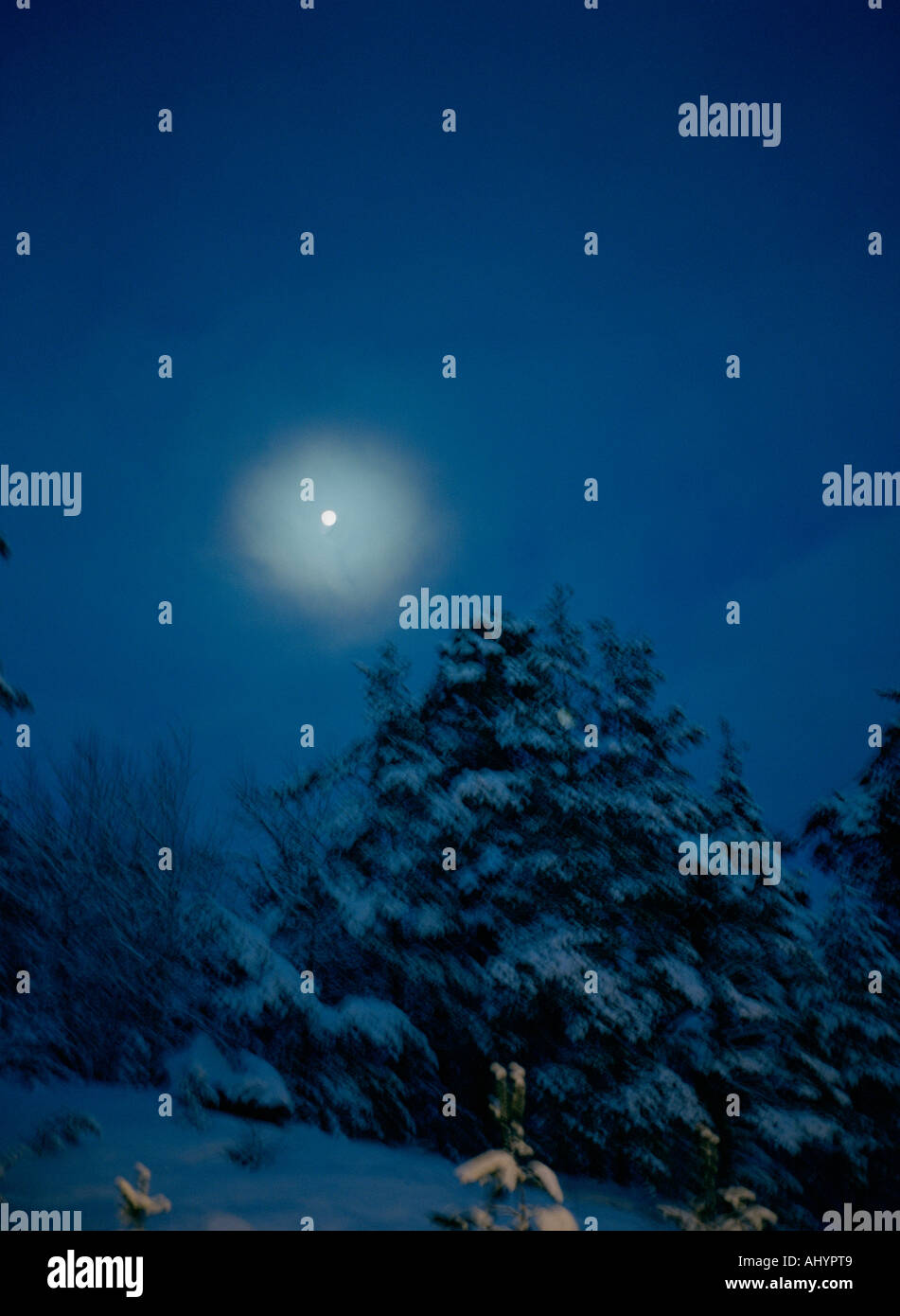 Blue twilight and the moon is up. It´s freezing cold, who wants to be ...