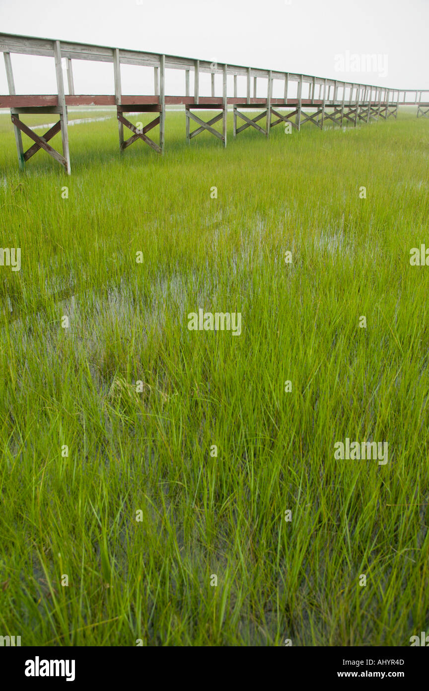 Marsh docks hi-res stock photography and images - Alamy