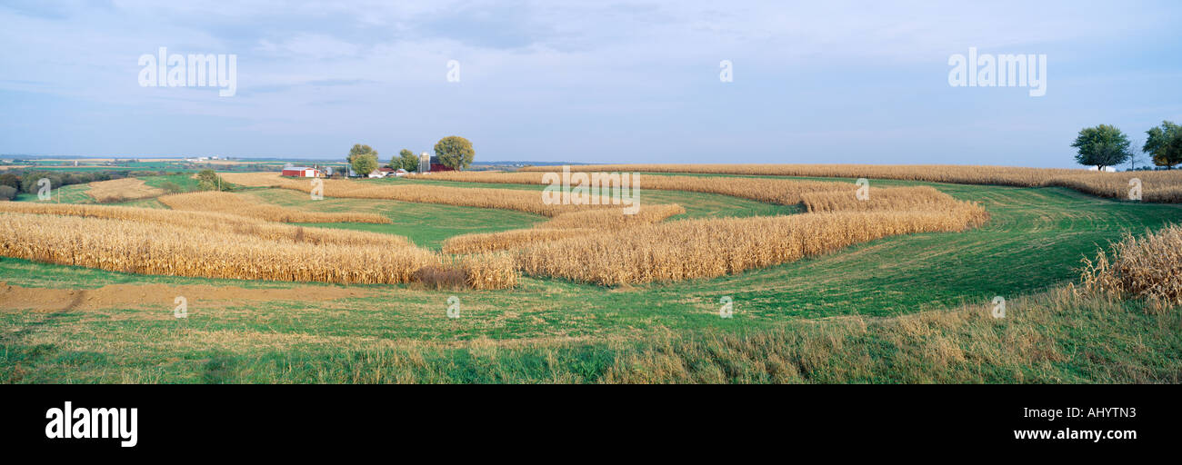 American grain fields hi-res stock photography and images - Alamy