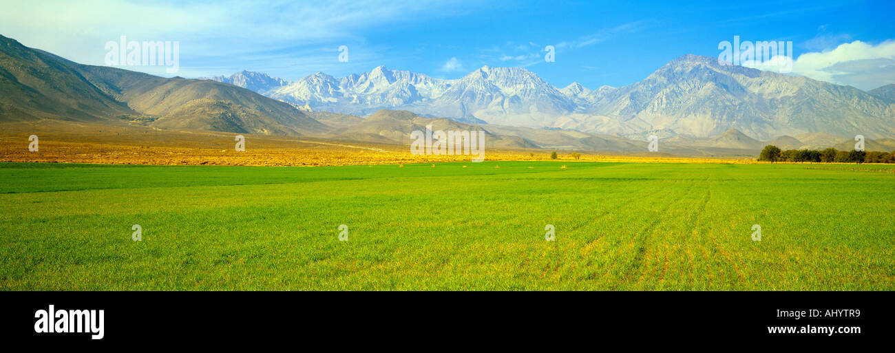 395 hi-res stock photography and images - Alamy
