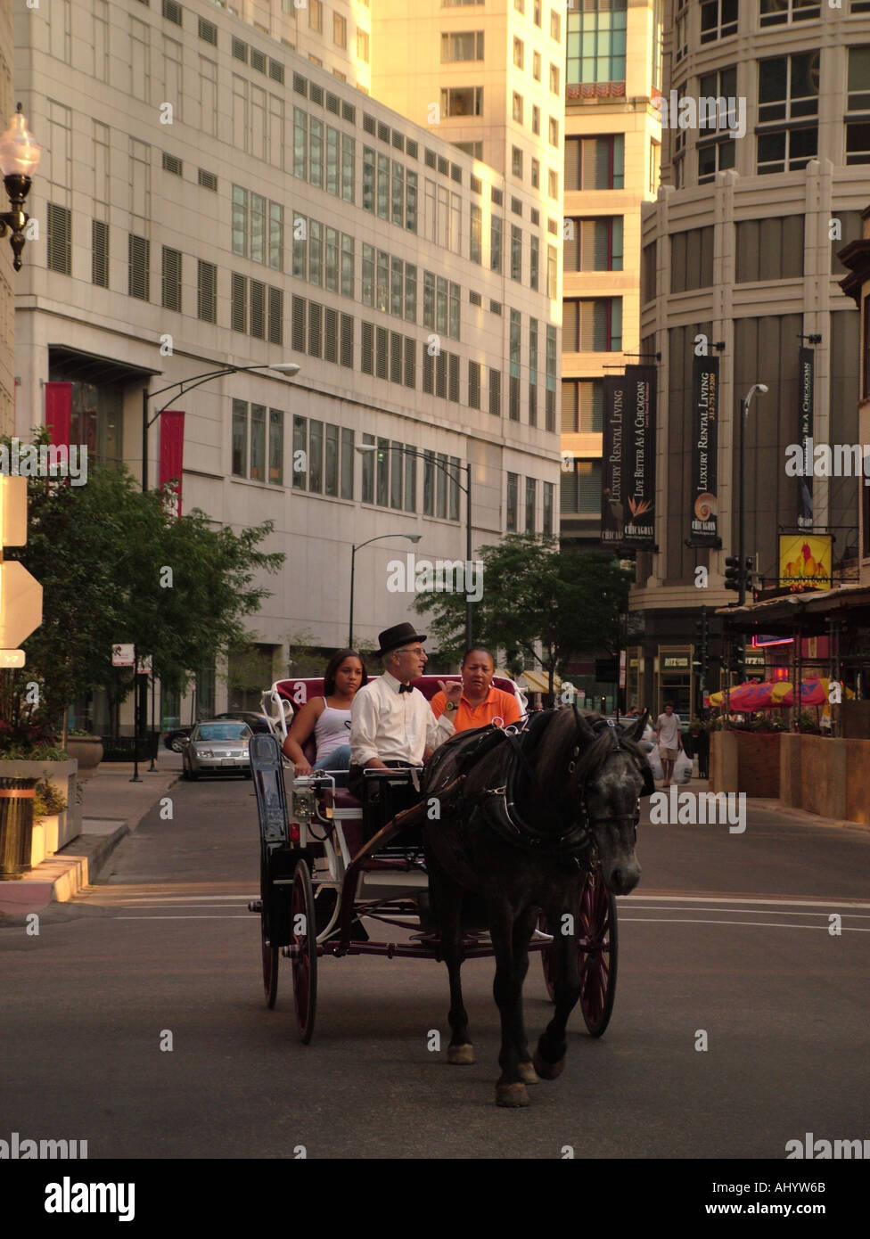 Chicago horse carriage hi-res stock photography and images - Alamy