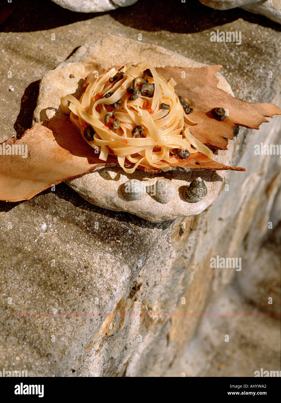Lumachine hi-res stock photography and images - Alamy