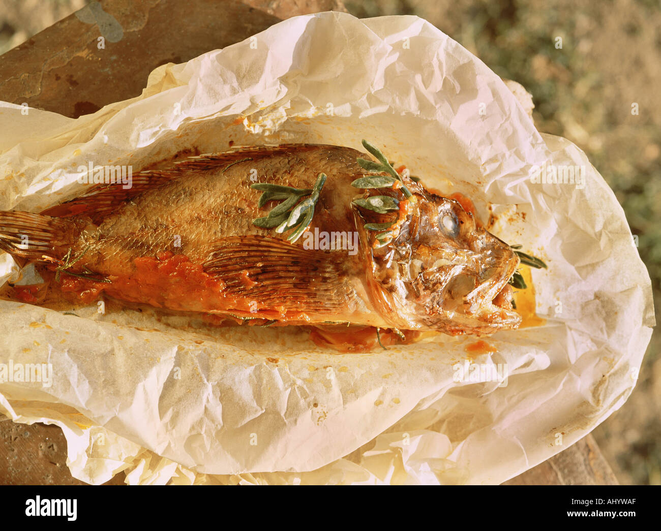 Scorpion fish italy hi-res stock photography and images - Alamy