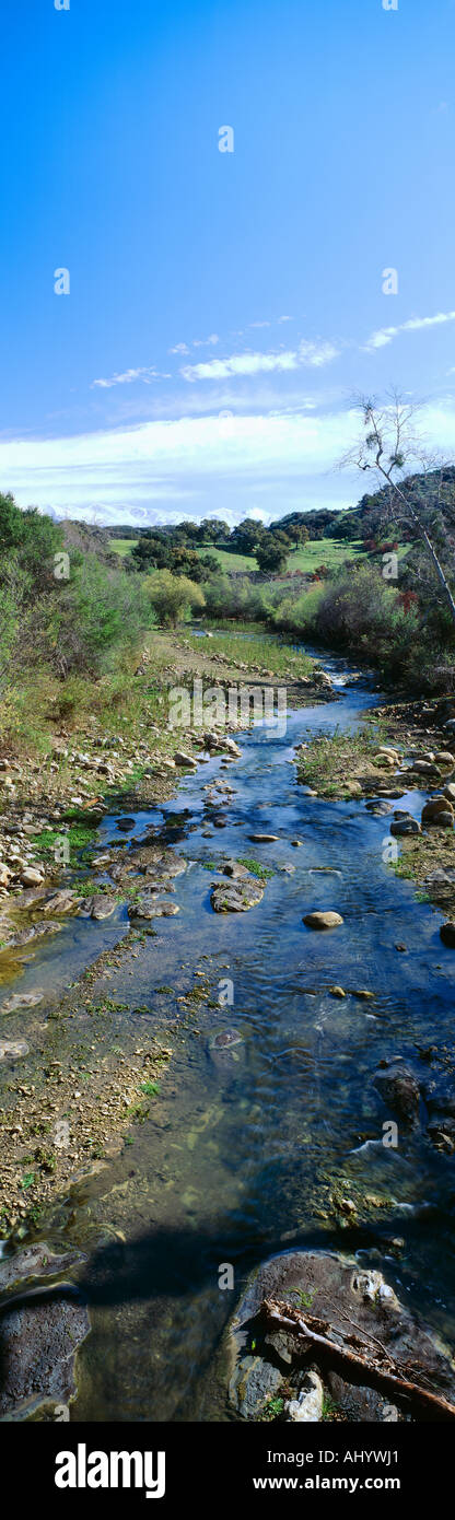 Spring creek in Upper Ojai California Stock Photo - Alamy