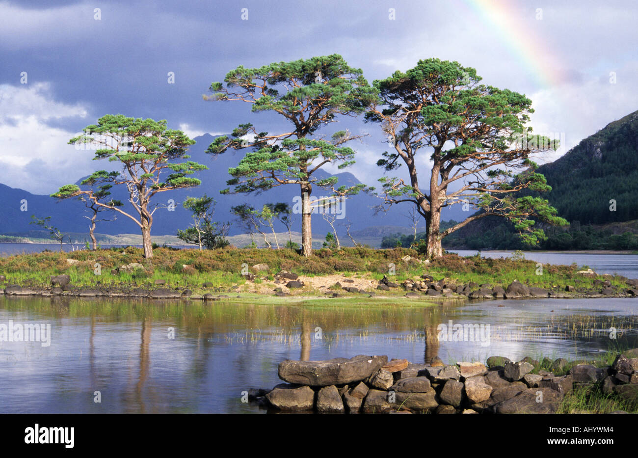 Loch Maree, Scotland Stock Photo - Alamy