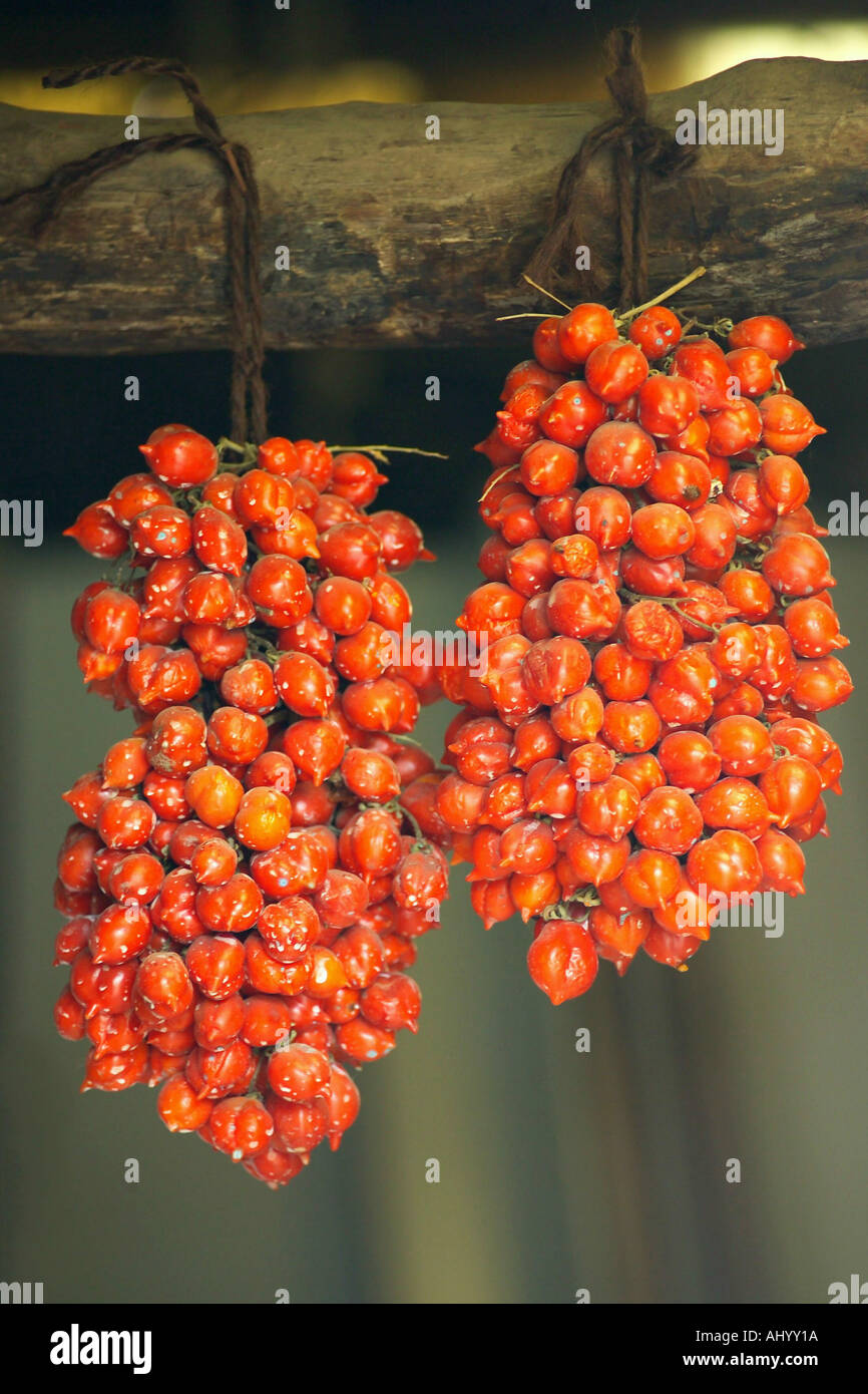Piennolo tomato hi-res stock photography and images - Alamy