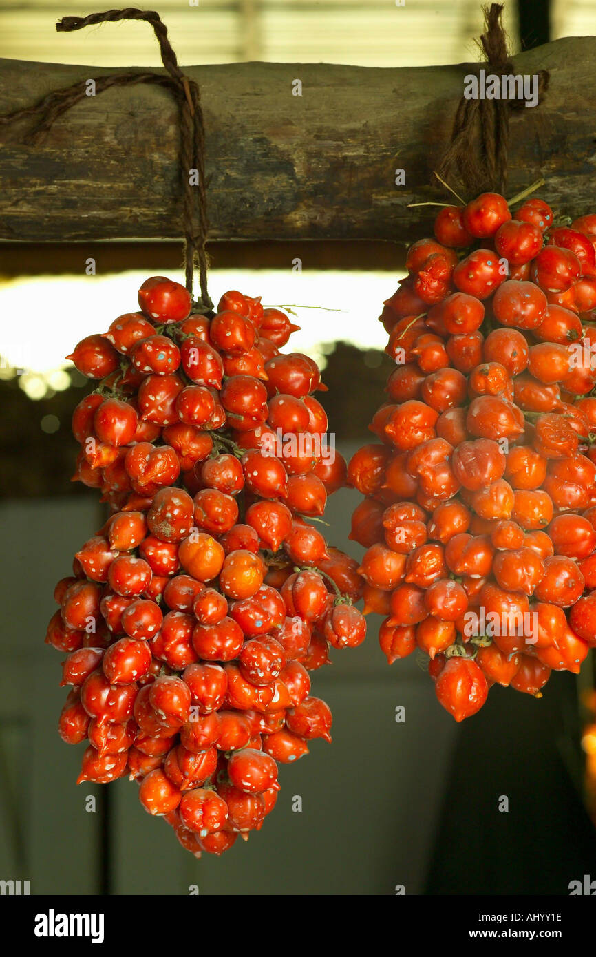 Piennolo tomato hi-res stock photography and images - Alamy