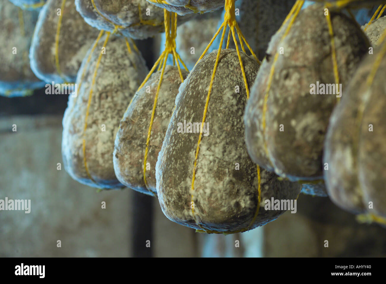 Provolone del monaco cheese hi-res stock photography and images - Alamy