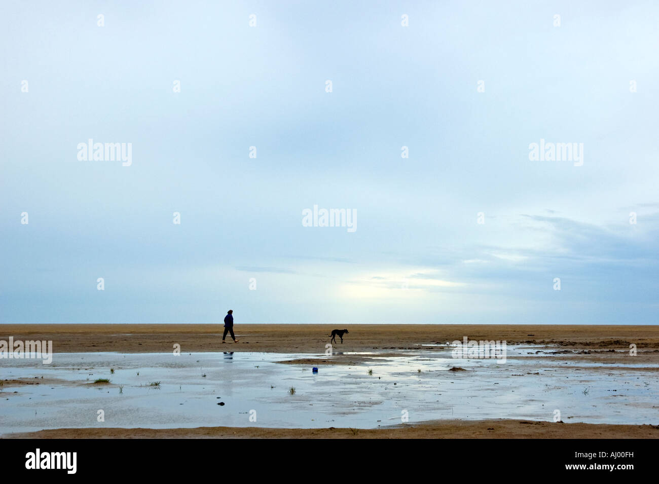 West coast view Stock Photo - Alamy