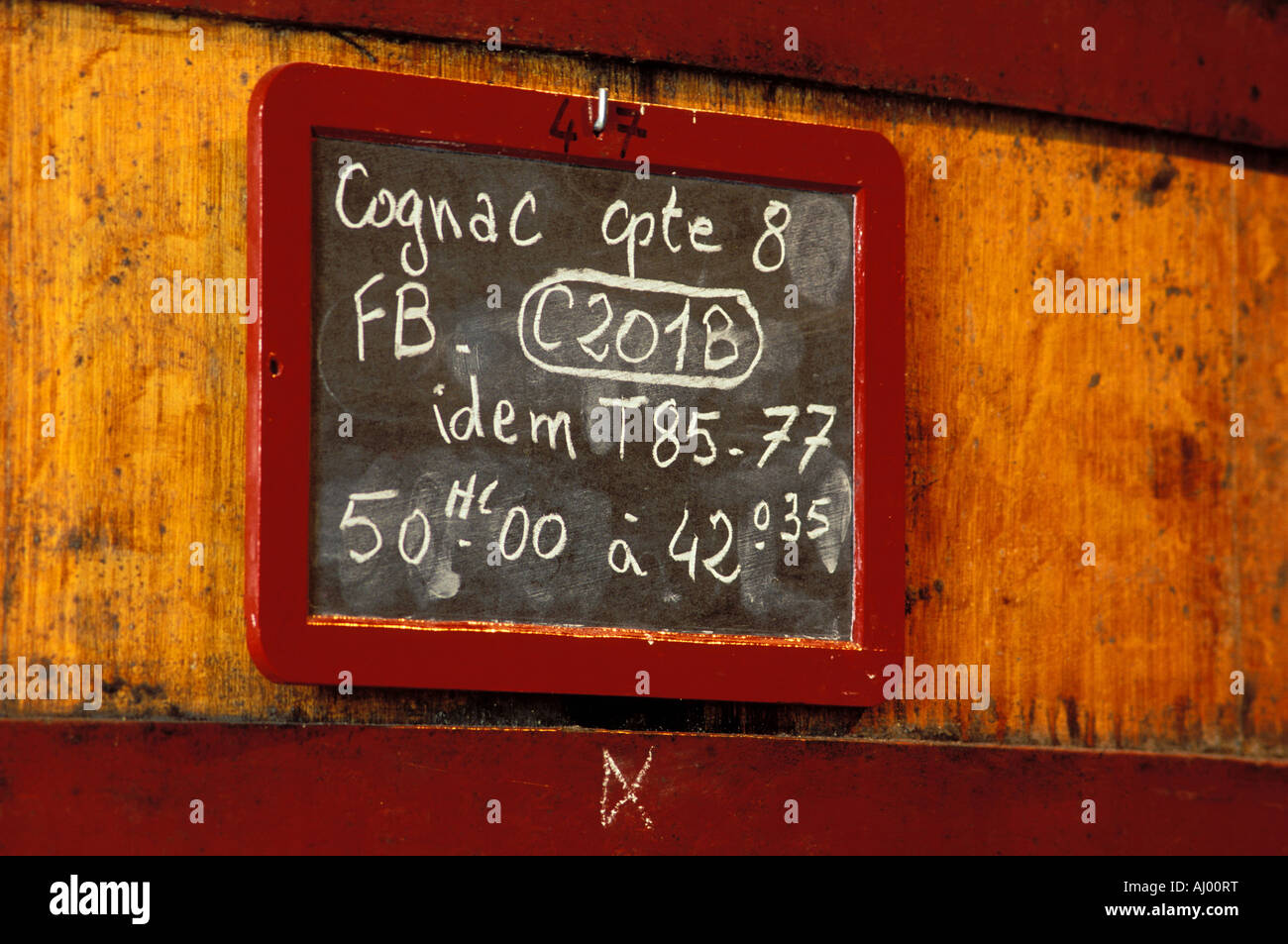 France, Charente Maritime, Semussac, the Didonne castle, sign on a ...