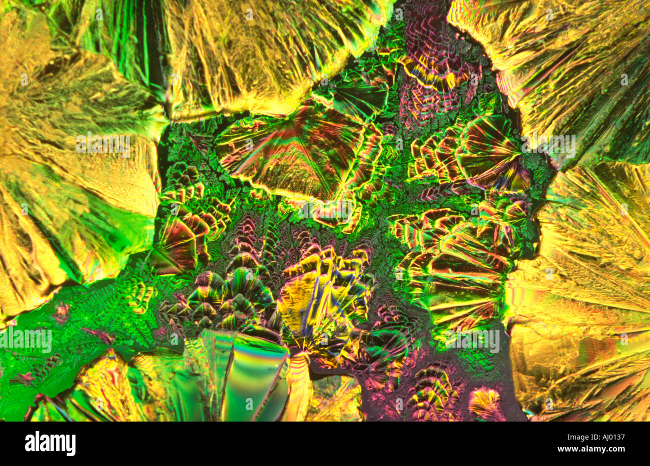 Photomicrograph of Crystals of Citric Acid under Polarised Light Stock ...