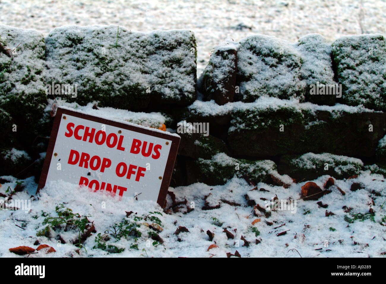 School bus drop off hi-res stock photography and images - Alamy