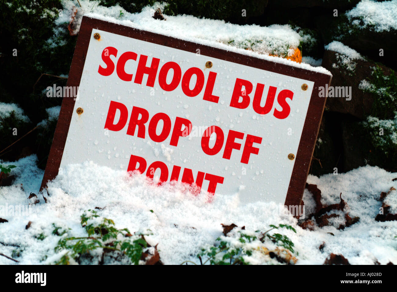 School bus drop off hi-res stock photography and images - Alamy