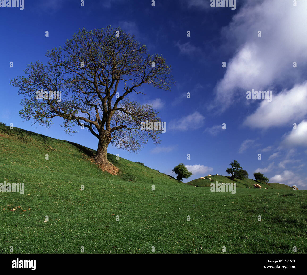 Burrough hill fort hi-res stock photography and images - Alamy