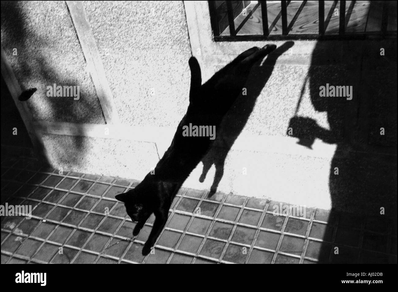 Jumping from window hi-res stock photography and images - Alamy