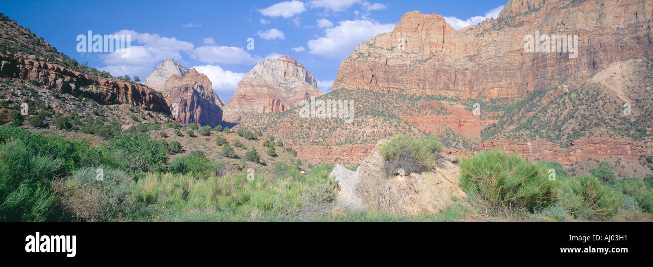 Zion National Park Spring Southern Utah Stock Photo - Alamy