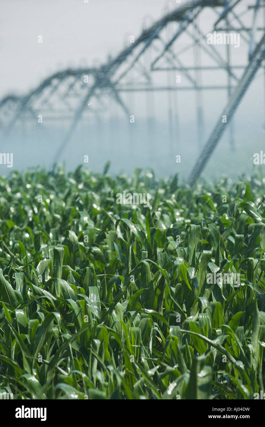Utah farm irrigation hi-res stock photography and images - Alamy