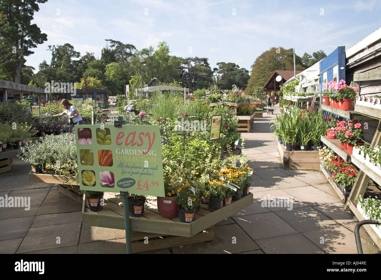 Display of plants in a garden centre Stock Photo - Alamy