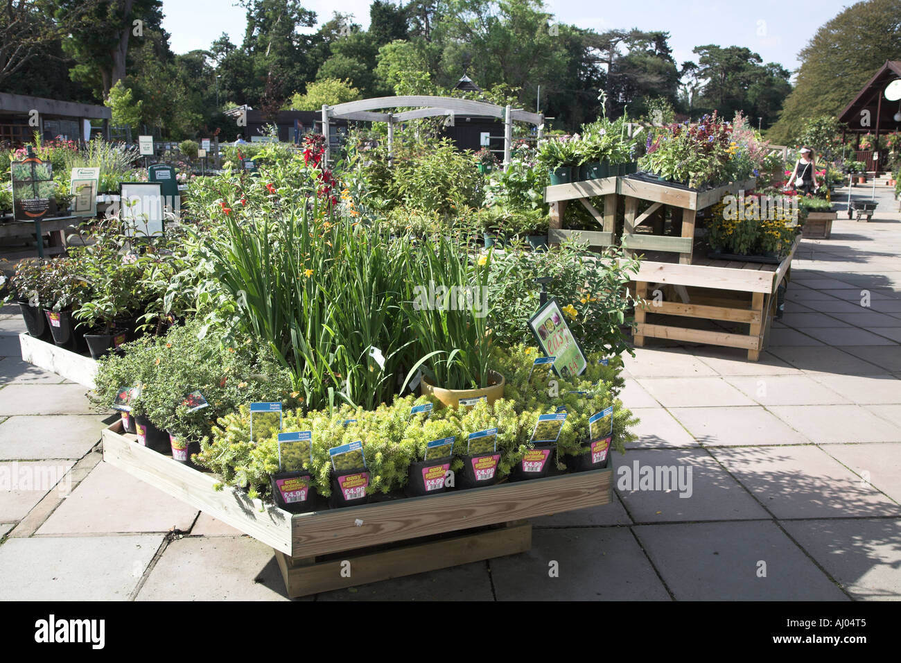 Display of plants in a garden centre Stock Photo - Alamy